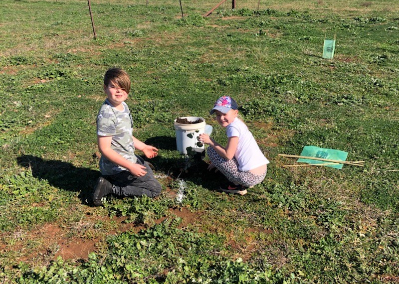 Looking At Landcare (21/8/2020) – Landcare Planting Progress – Central ...