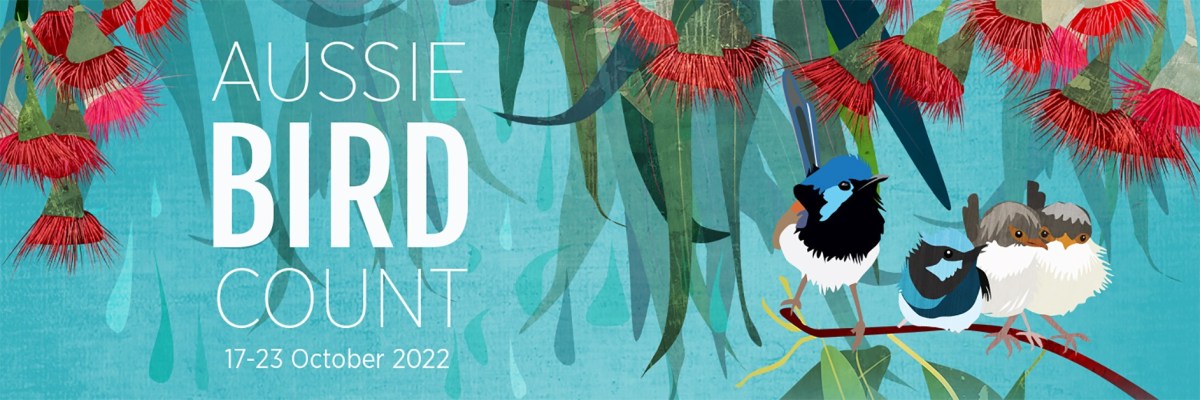 Looking At Landcare (13/10/2022) – Aussie Bird Count Walk with Lachlan ...