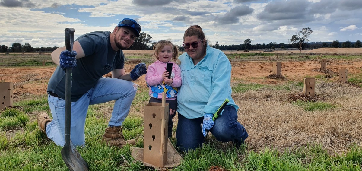 Looking At Landcare (25/4/2024) – National Tree Day Prep Begins ...